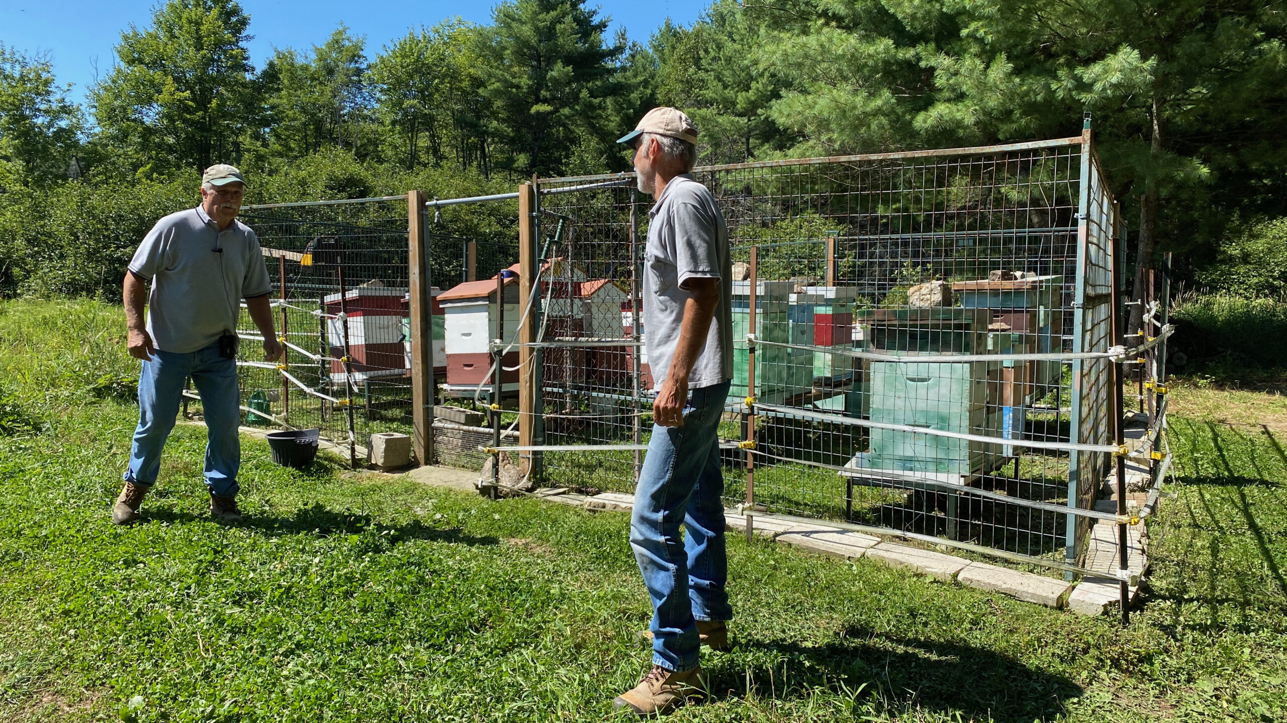 MPBSA 2020 Virtual Bee Yard Tour Video – Muskoka Parry Sound Beekeepers ...